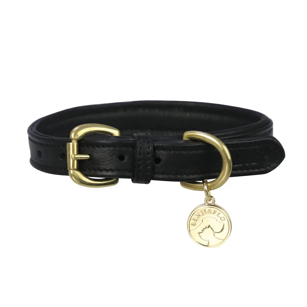 Benji & Flo Deluxe Padded Leather Dog Collar | Country Ways