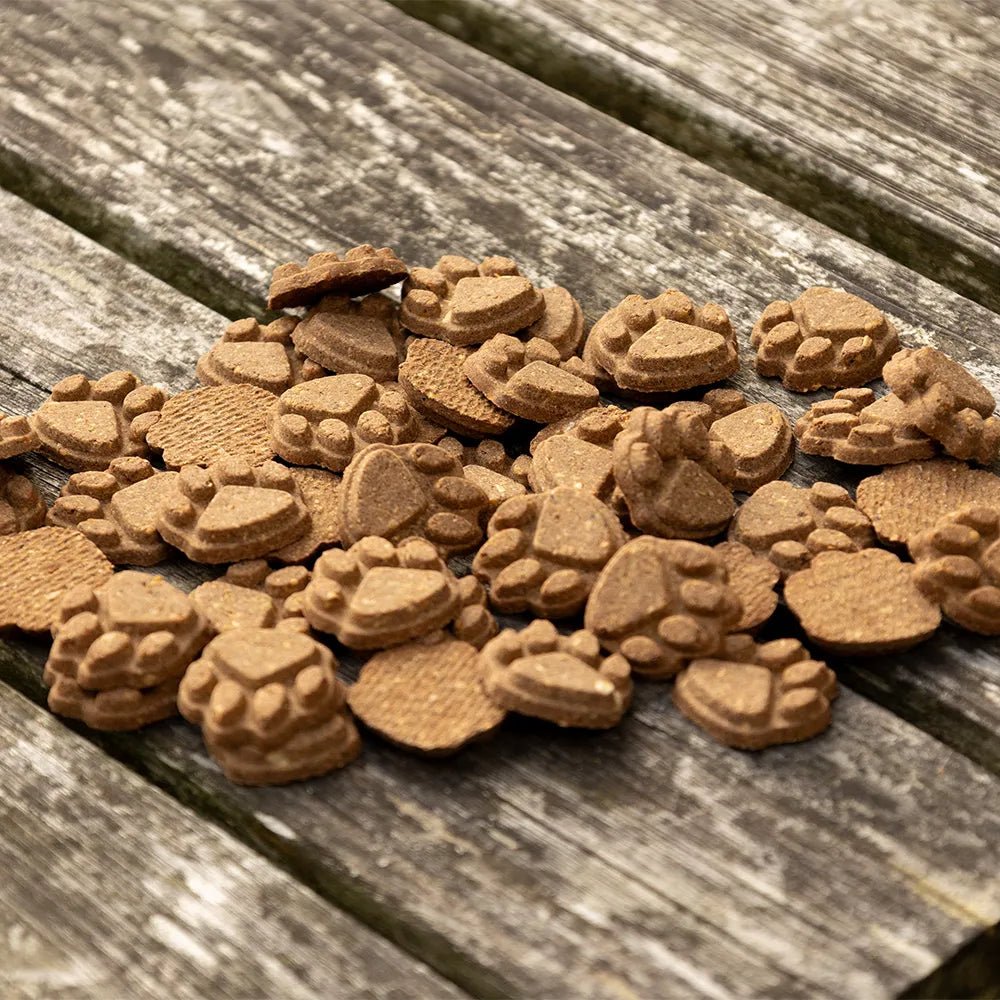 Benji & Flo Little Paws Move & Groove Mobility Treats | Country Ways