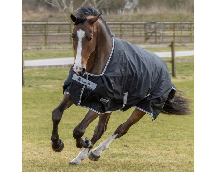Bucas Anniversary Light Stay-Dry Turnout Rug – Country Ways
