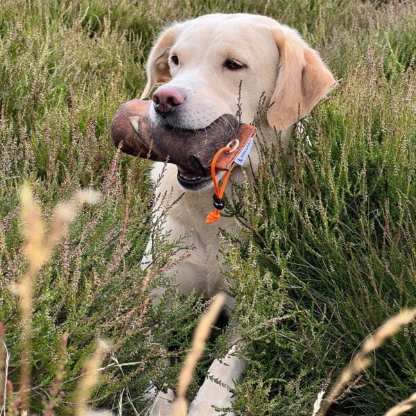Dog & Field Grouse 1/2lb Dummy | Country Ways