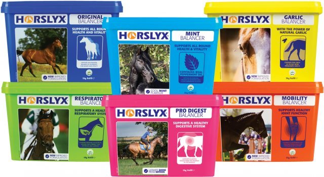 Horslyx Stable Lick | Country Ways