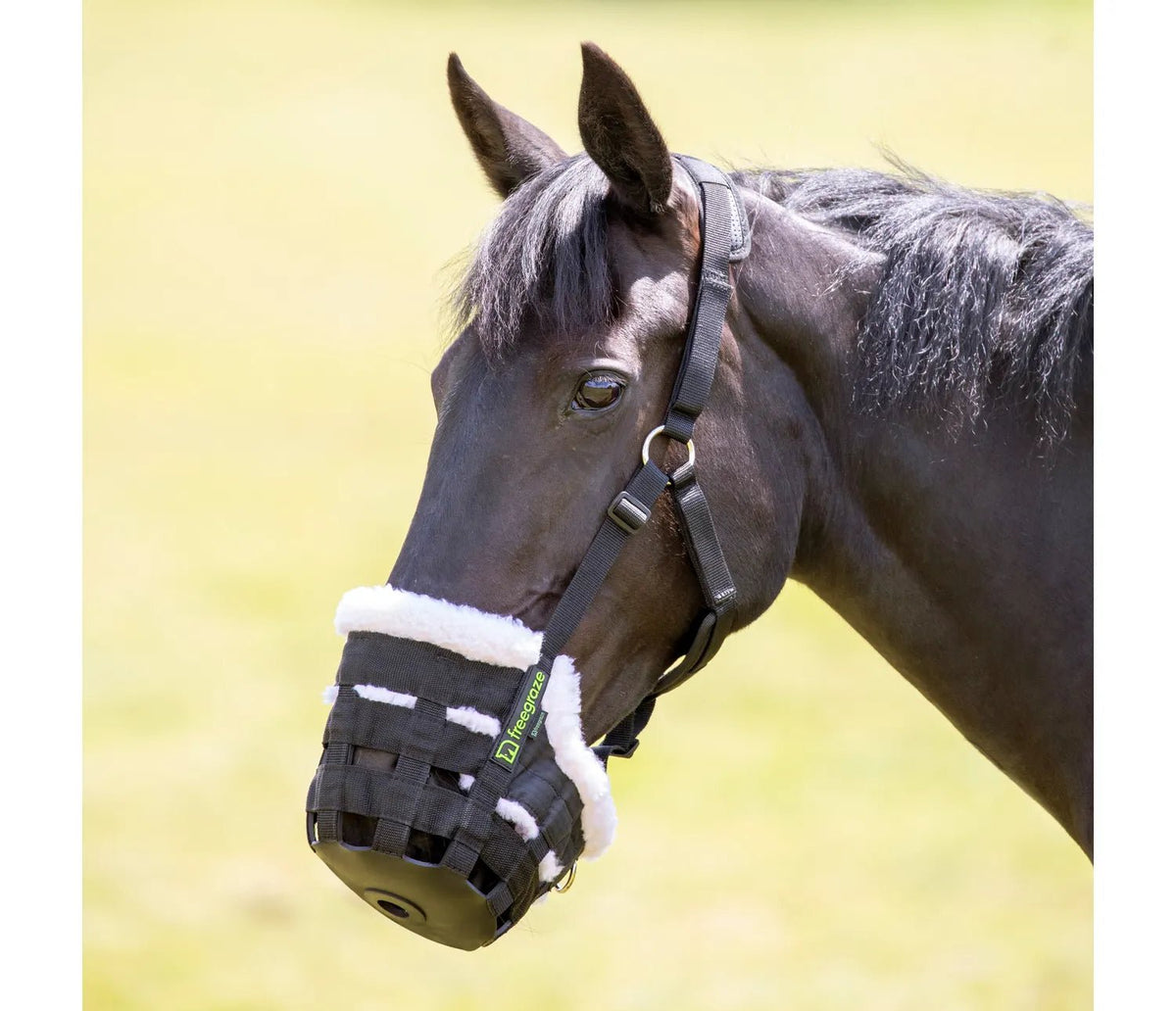 Shires Deluxe Comfort Grazing Muzzle Black | Country Ways