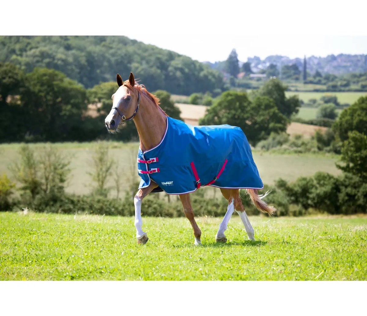 Tempest Original Lite Turnout Rug | Country Ways